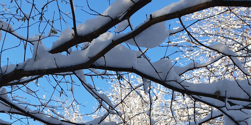 How to tune Dapr bulk publish/subscribe for maximum throughput - The Ops Community ⚙️